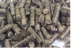 Biomass - Wood Pellet, Wood Chip, EFB FIBRE (SHREDDED), EFB Pellet ...